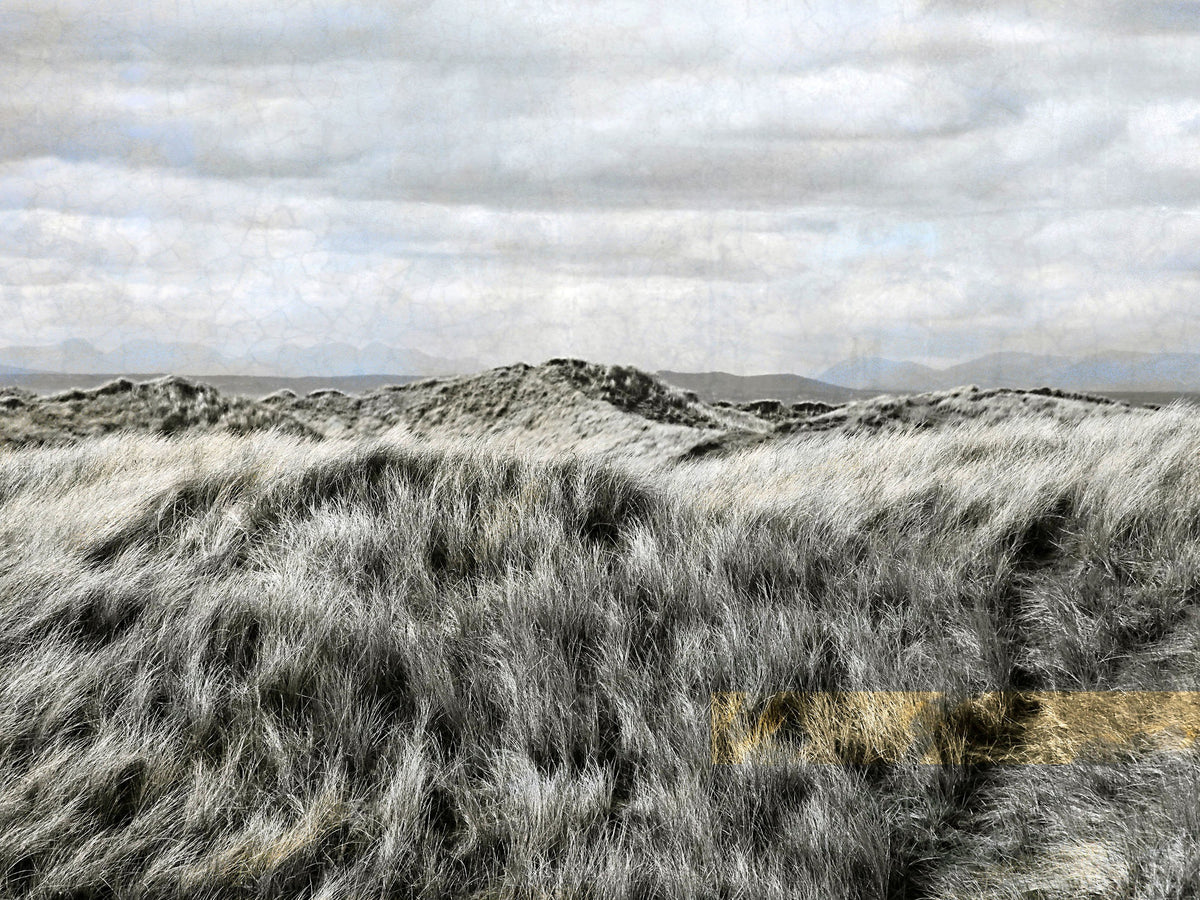 Landscapes – Fine Art Photography by Louise O'Gorman
